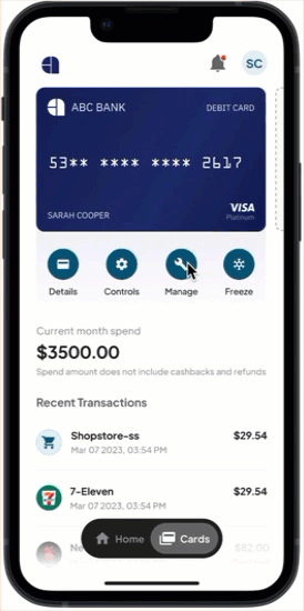Merchant Controls | Axon Docs