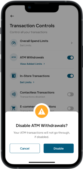 Transaction Controls Axon Docs