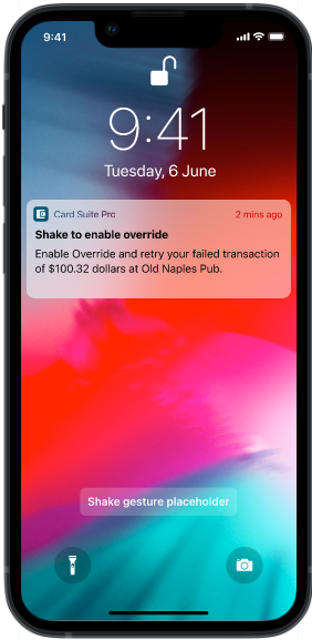 One-Time Override | Axon Docs
