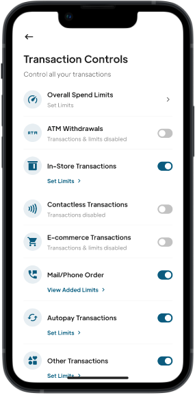 Transaction Controls | Axon Docs