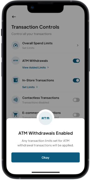 Transaction Controls | Axon Docs