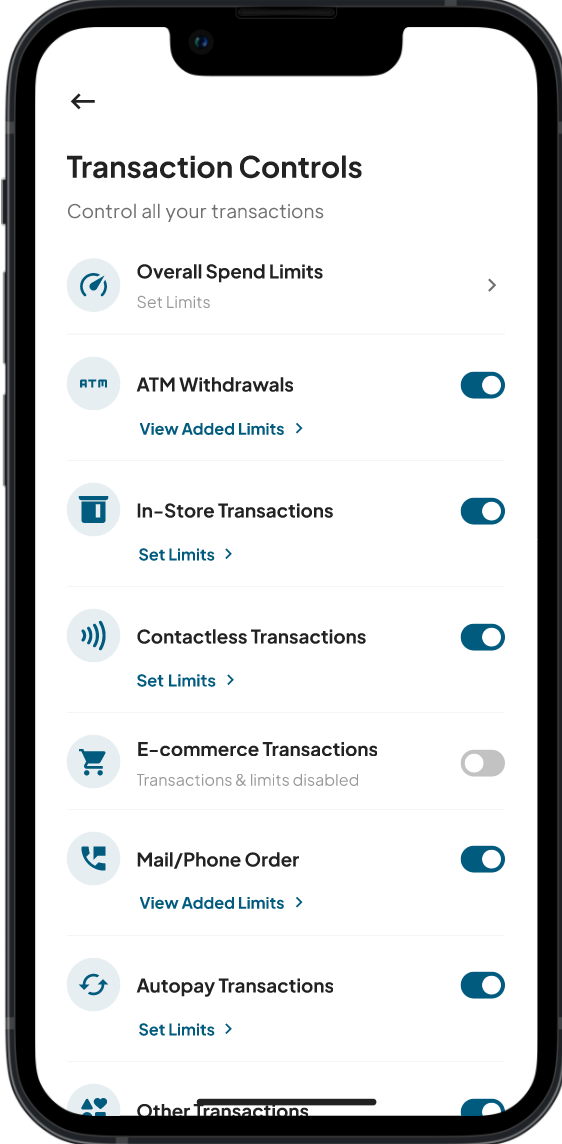 Transaction Controls | Axon Docs