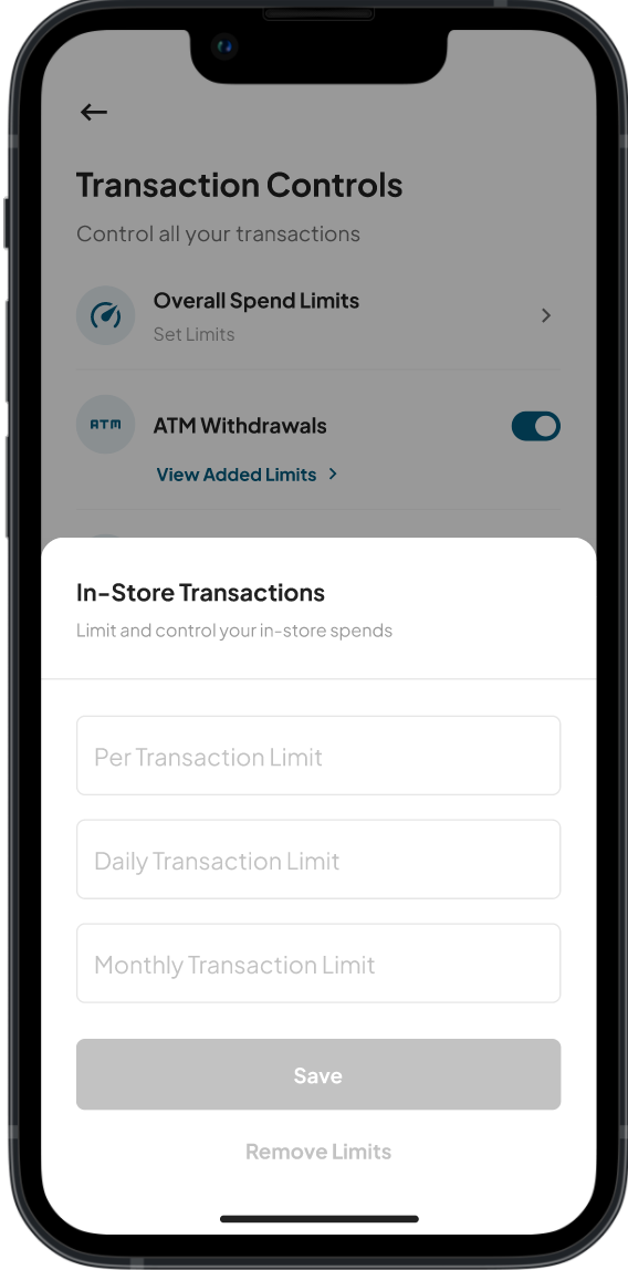 Transaction Controls | Axon Docs