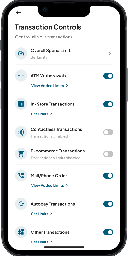 Transaction Controls | Axon Docs