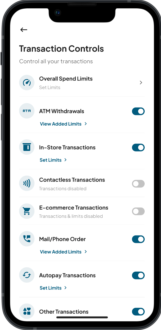 Transaction Controls | Axon Docs