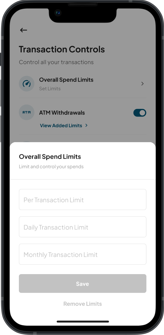 Transaction Controls | Axon Docs