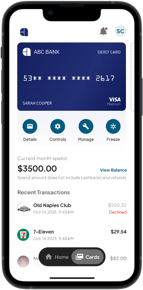 Access and App Security | Axon Docs